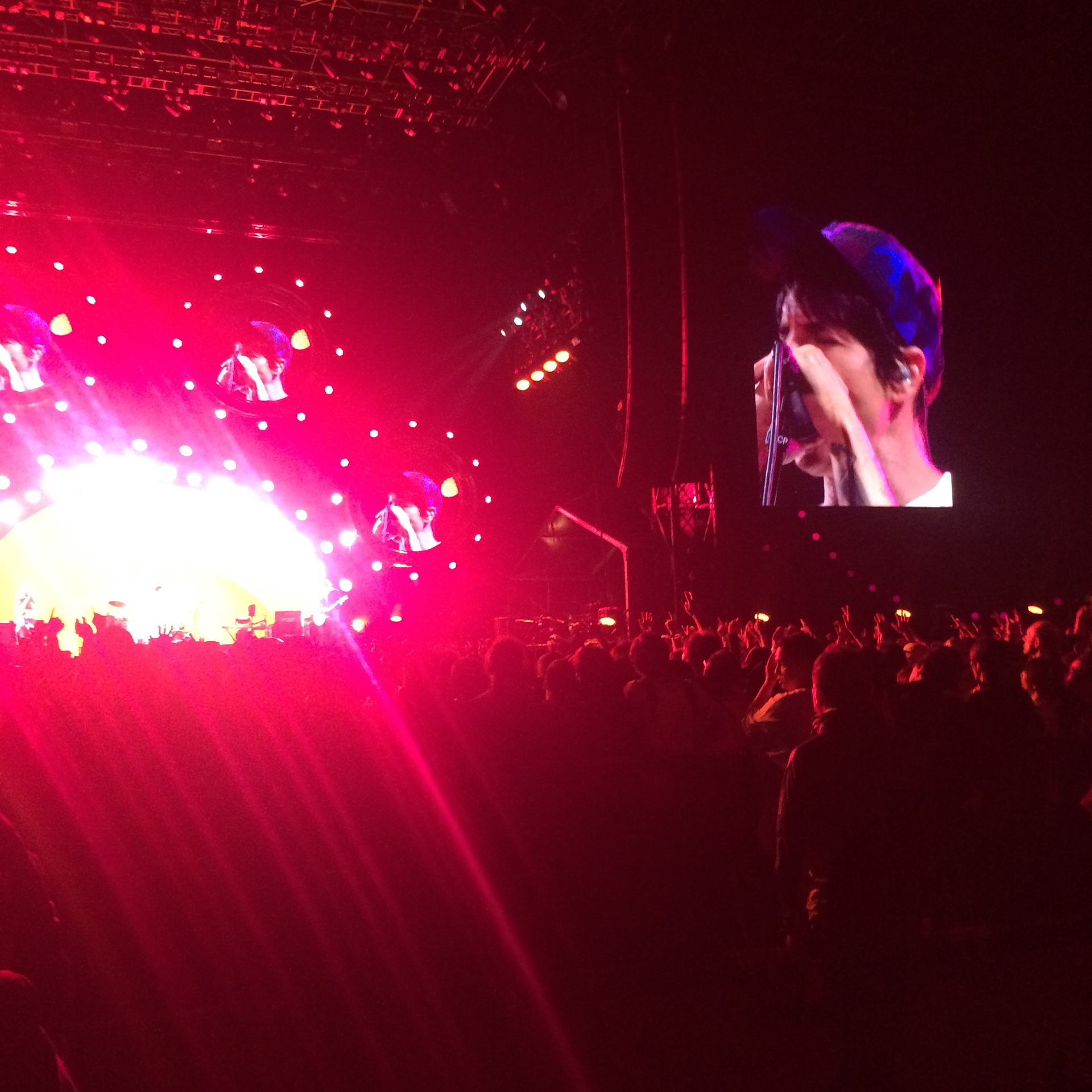 入荷商品③: Burike